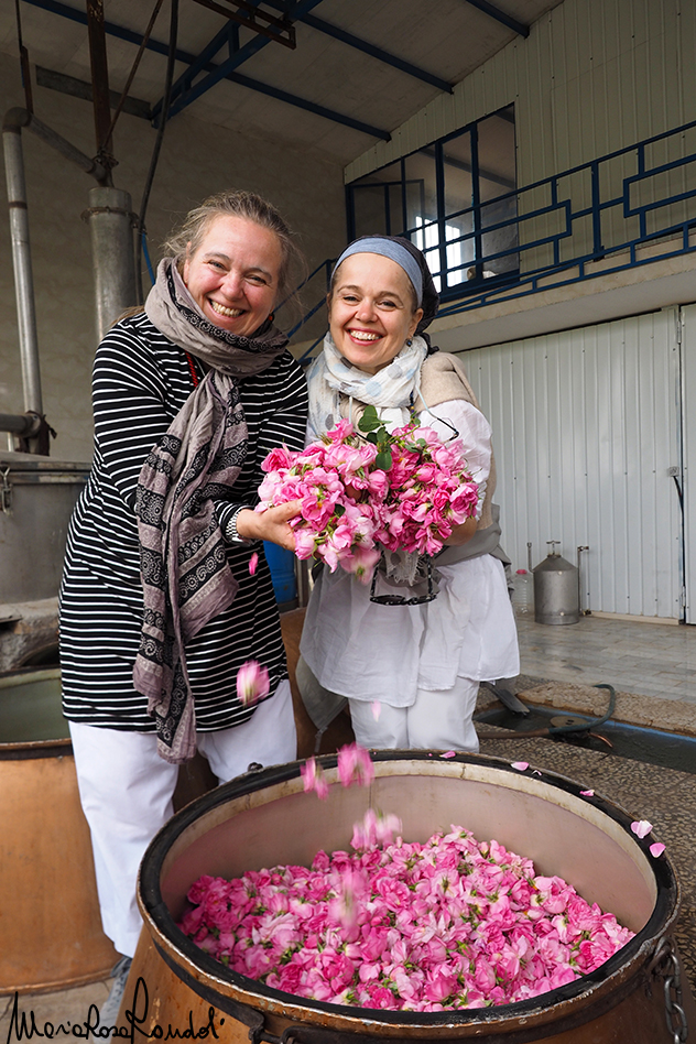 Rose water festival in Iran: A Journey from Petals to Perfume - Iran’s ...